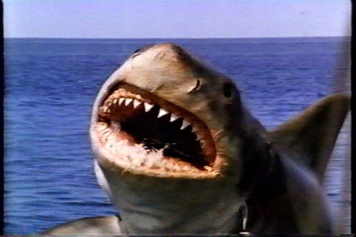 Jaws: The Revenge image