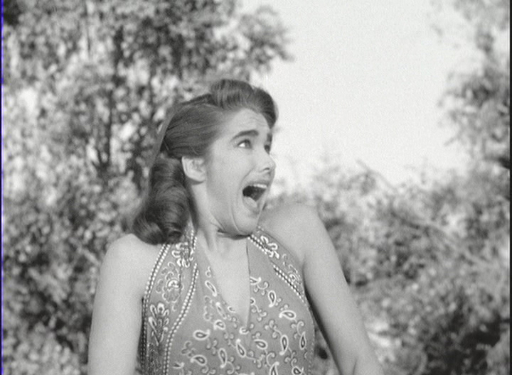 Julie Adams image