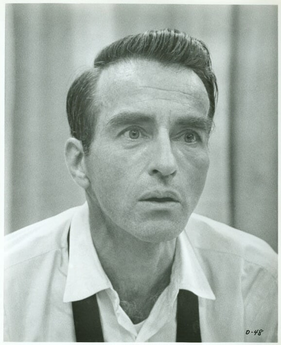 Picture of The Defector