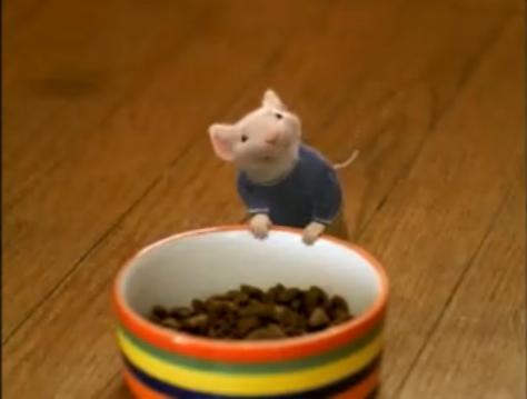 Picture of Stuart Little