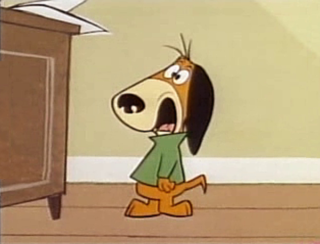 Picture of Augie Doggie