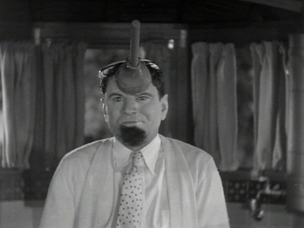 Picture of Them Thar Hills