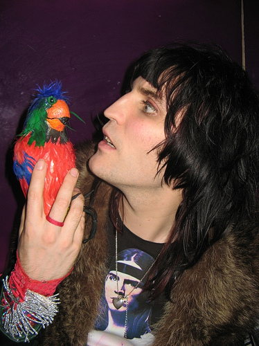 Picture of Noel Fielding