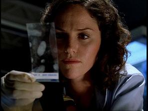 Picture of CSI: Crime Scene Investigation