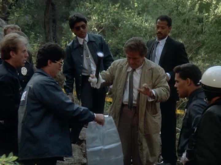 Picture of Columbo: Grand Deceptions