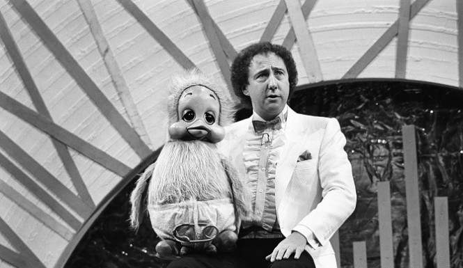 Picture of Orville the Duck