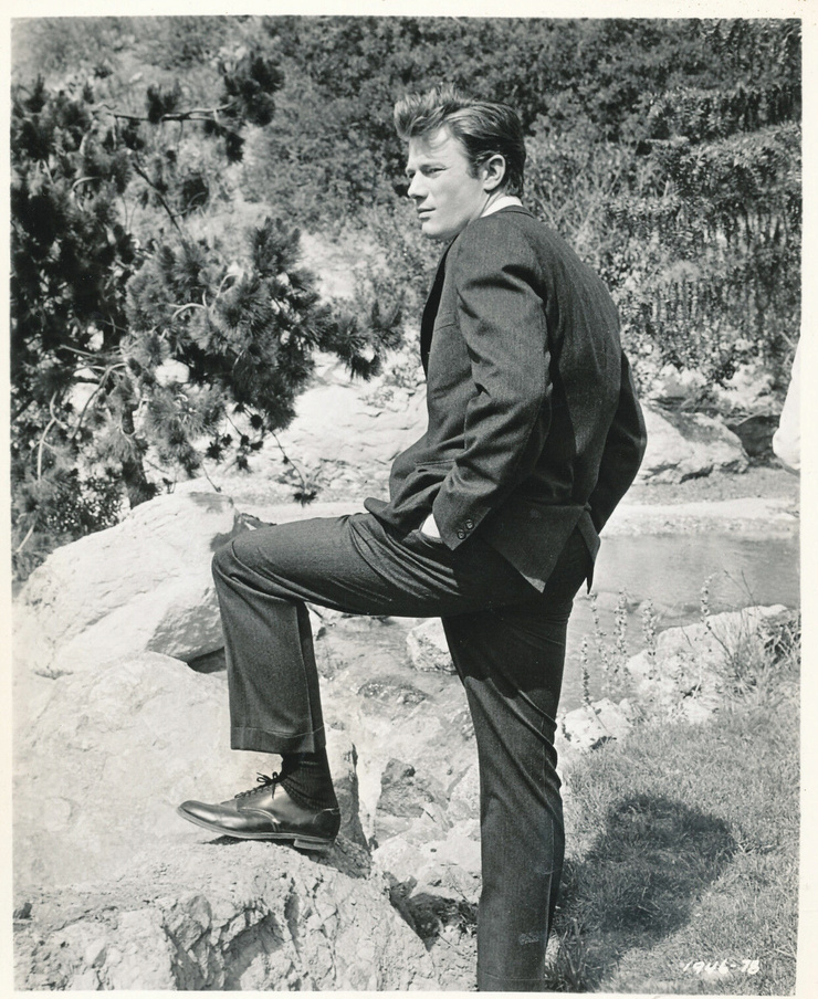 Picture of Michael Parks