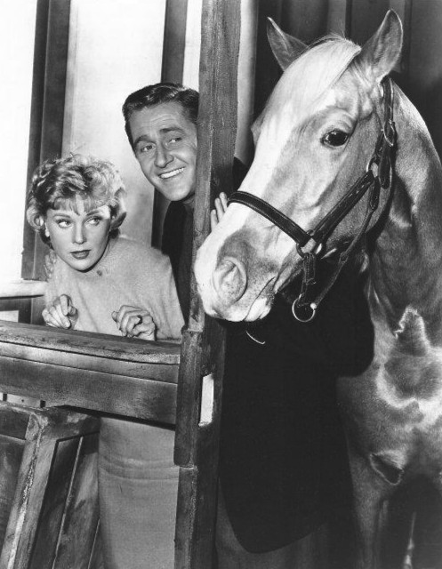 Picture of Mister Ed