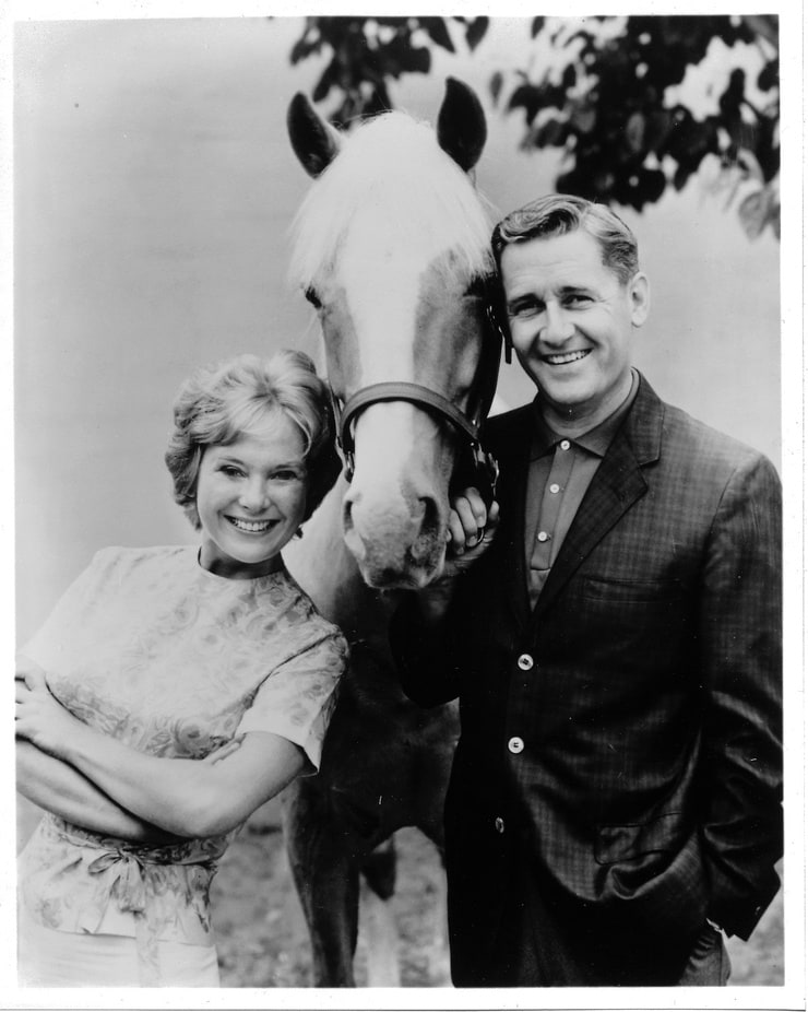 Picture of Mister Ed