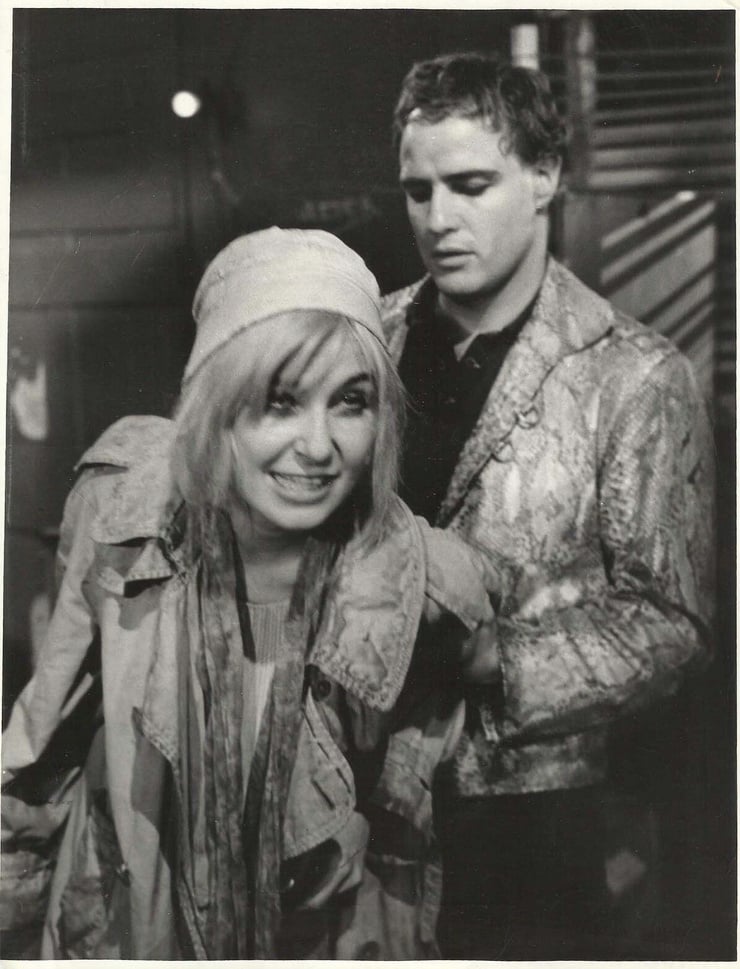 Picture of The Fugitive Kind