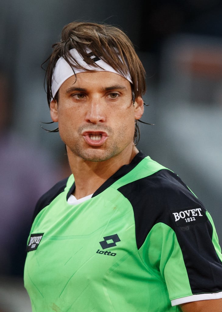 Picture of DAVID FERRER
