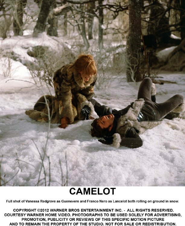 Camelot image