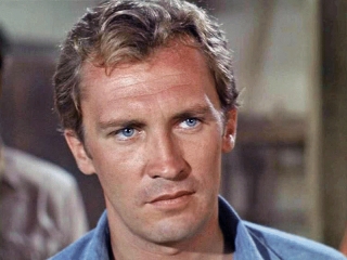 Picture of Roy Thinnes
