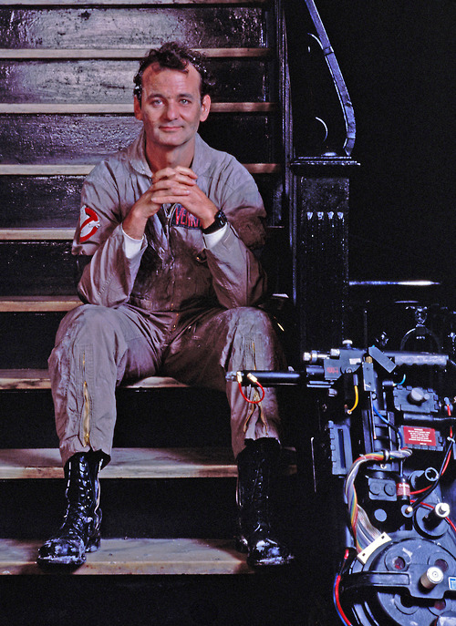 Picture of Bill Murray