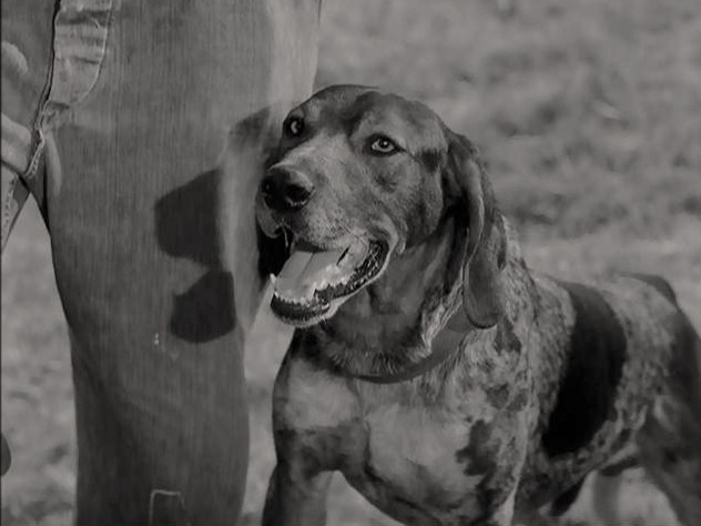 Picture of The Twilight Zone