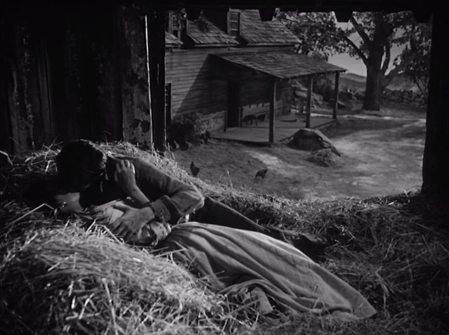 Desire Under the Elms (1958) picture