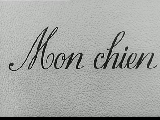 Picture of Mon chien