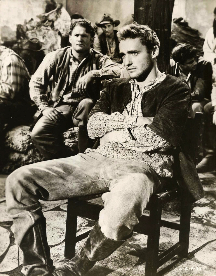 Picture of Dennis Hopper