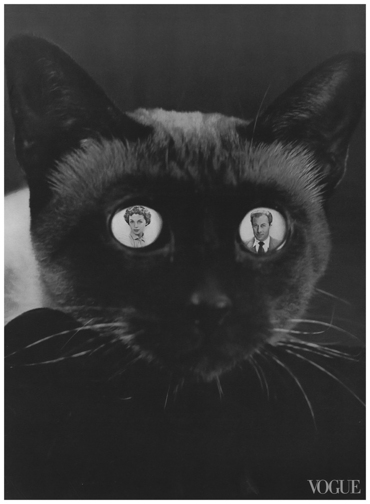 Picture of Rex Harrison