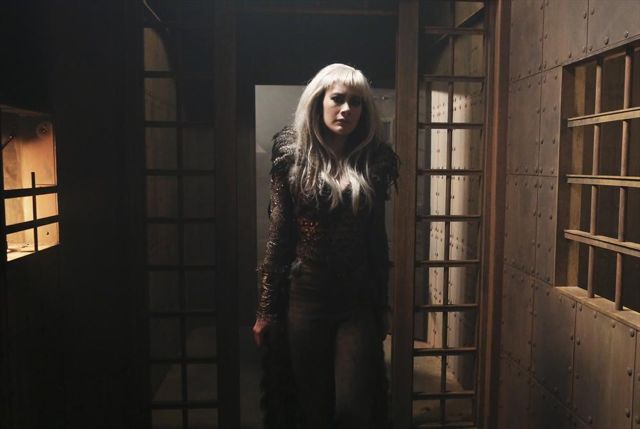 Picture of Peta Sergeant