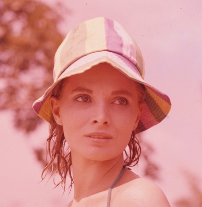 Picture of Scilla Gabel