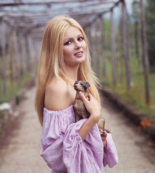 Posts written by yakuzaBoss