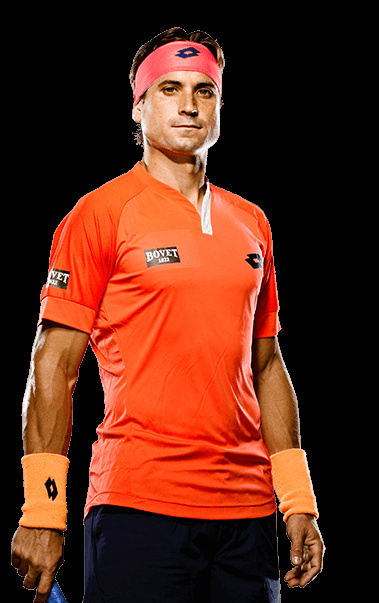 Picture of DAVID FERRER