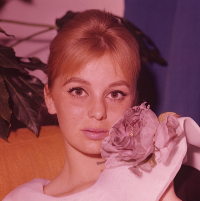 Alessandra Panaro image