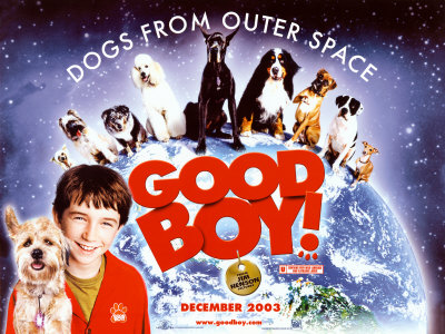 Picture of Good Boy!