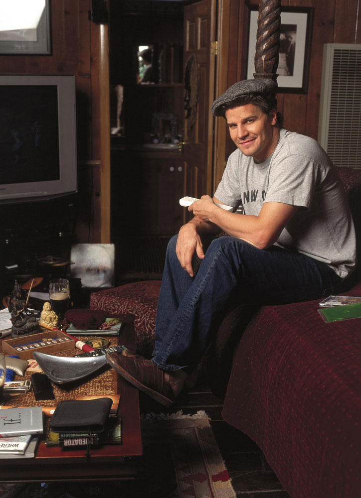Picture of David Boreanaz