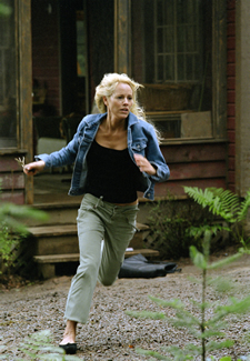 Secret Window picture