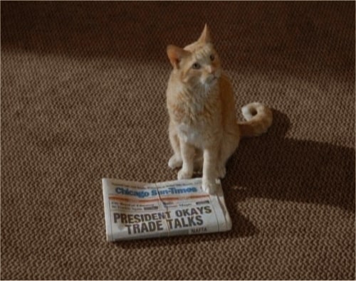 Image of Early Edition