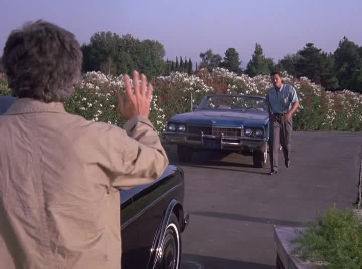 Picture of Columbo: A Bird in the Hand...