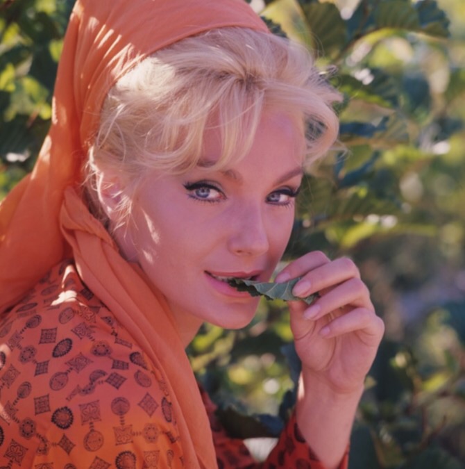 Maria Perschy picture