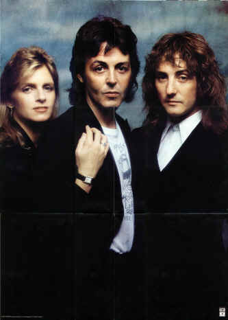Picture of Wings