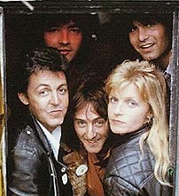 Picture of Wings