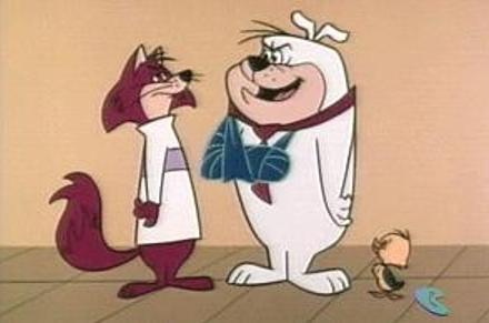 Picture of Fibber Fox