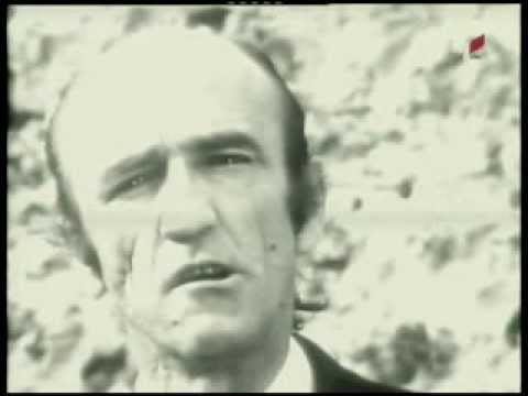 Picture of Veljko Mandic