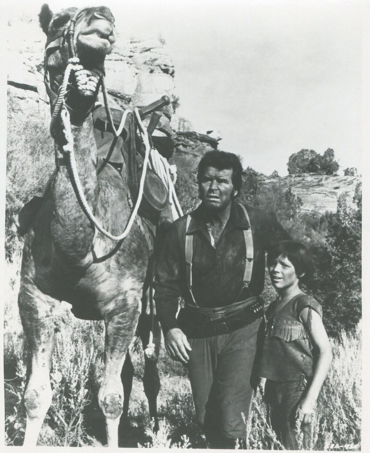 Picture of One Little Indian (1973)