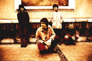 Picture of Midnight Choir