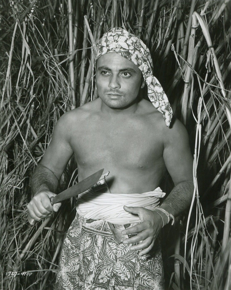 Image of Aram Katcher