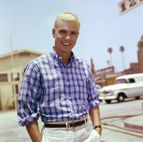 Dwayne Hickman picture