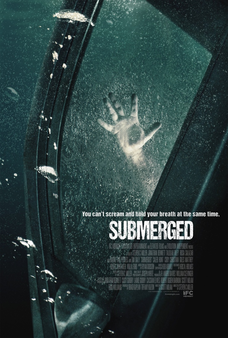 Picture of Submerged