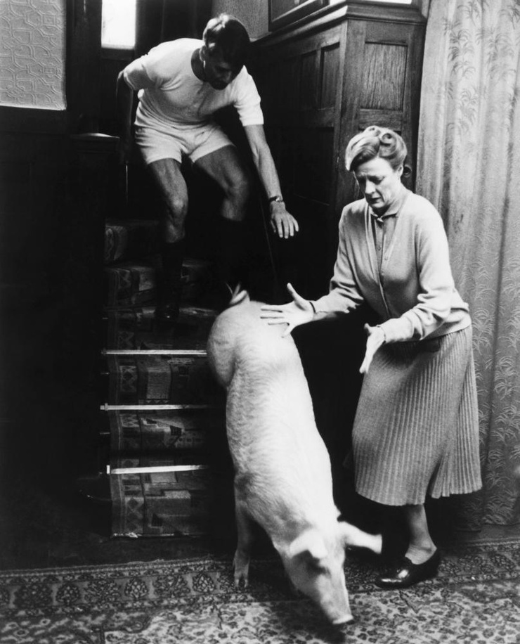 Picture of A Private Function