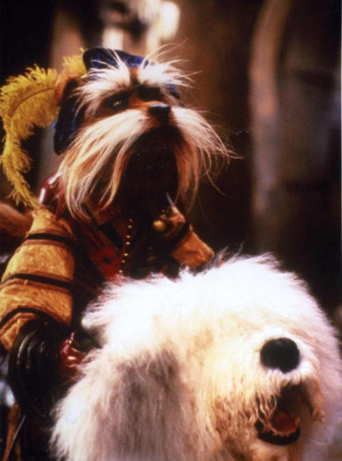 Picture of Sir Didymus