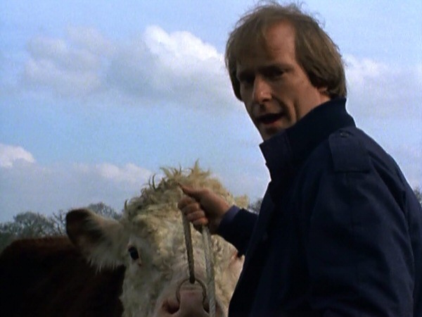 Picture of Minder (1979-1994)