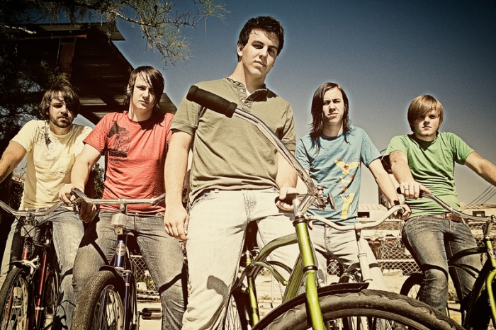 Picture of Between the Trees