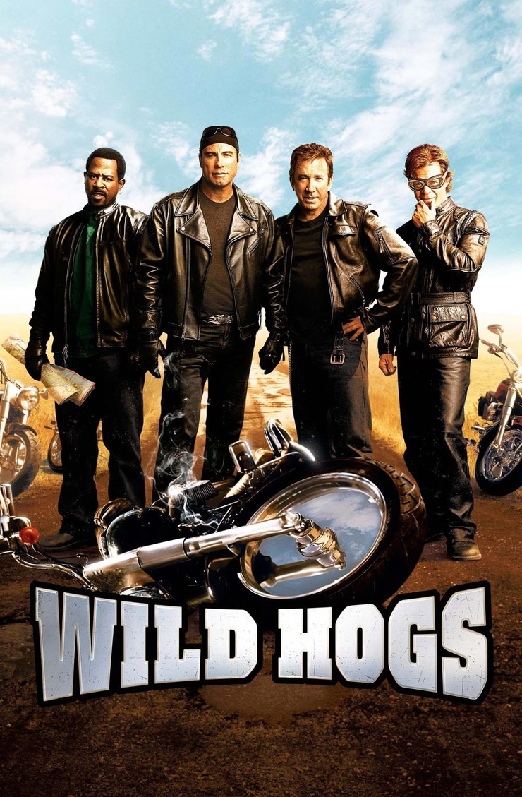 Wild Hogs image