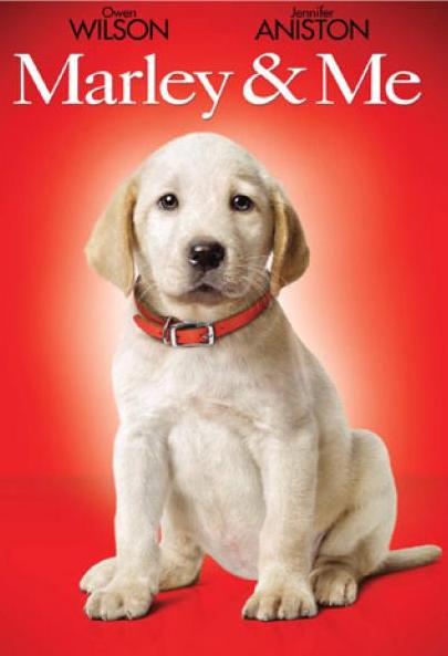 Picture of Marley & Me