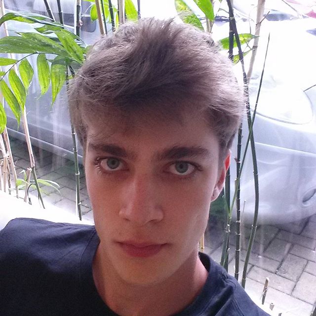 Pedro Bertolini image